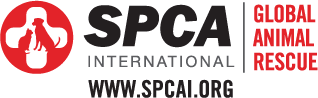 Grand Mondial Casino – popoln pregled, registracija, bonusi in plačila ...